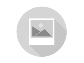 Insumos Tinta y Toner | Productos | Netson